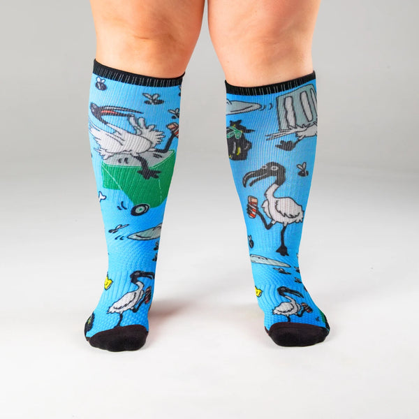 Bamboo Bin Chicken Compression Socks – Funky Sock Co